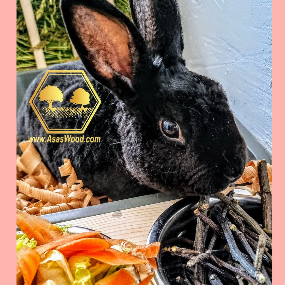 Apple Tree Chew Sticks ️ Rabbit Nibbler – AsasWood